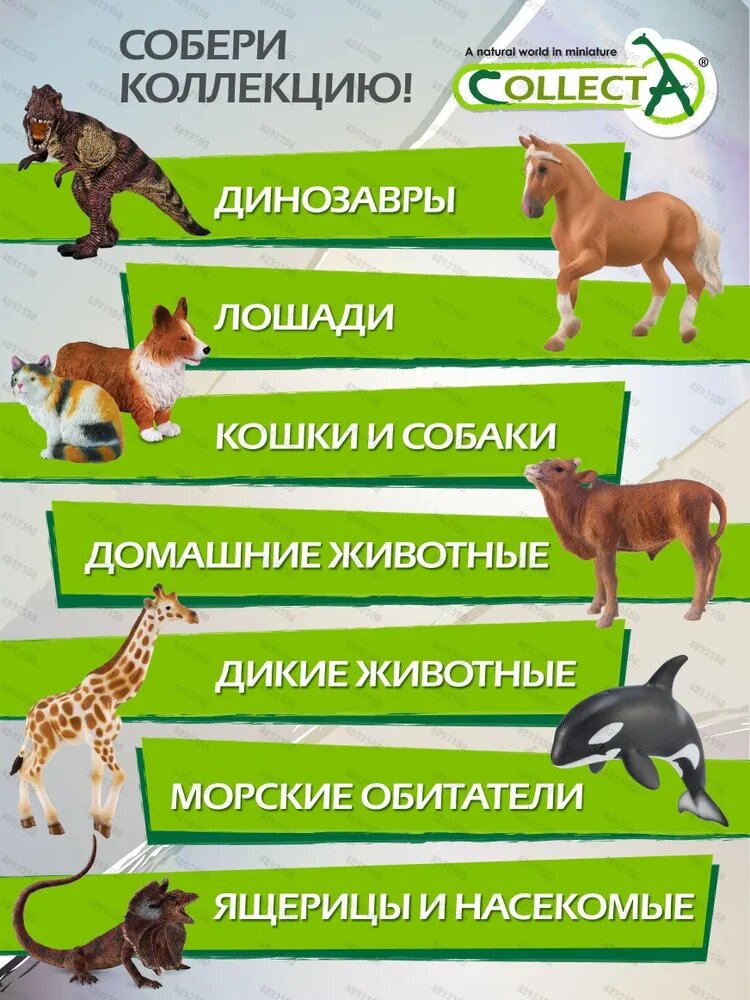 Фигурка жеребенок сетчатого жирафа, пластик, 3х9х13 см, Китай, CollectA — фото 1