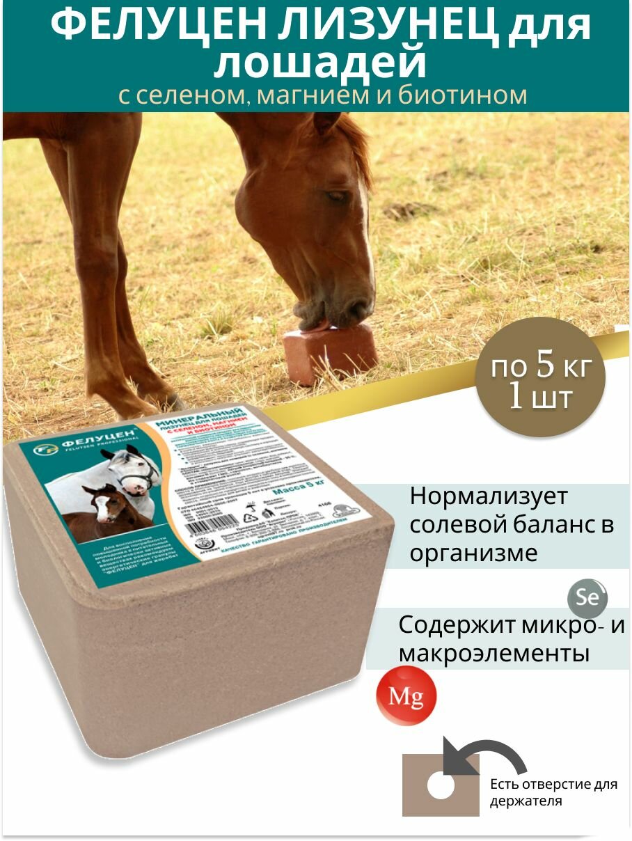 Лизунец Фелуцен с селеном, магнием и биотином для лошадей 5кг для коней с микроэлементами кормовая добавка