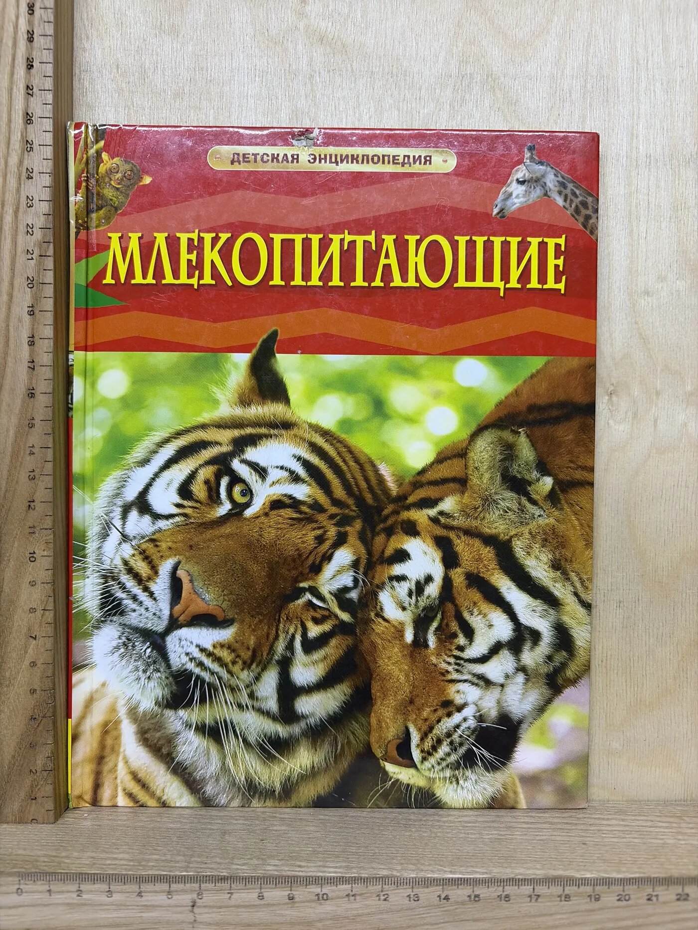 Млекопитающие