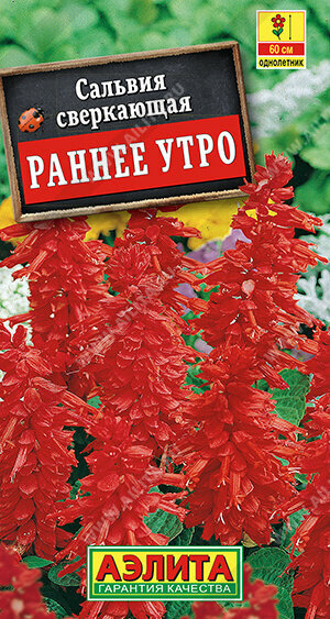 Семена Сальвии аэлита "Раннее утро", однолетние, красные