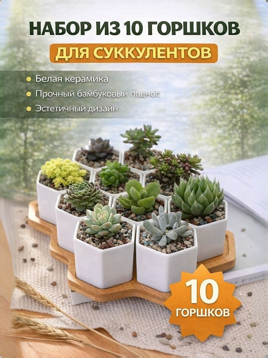 Вазон 0.11 л, 5 см, 10 шт, цвет белый, желтый
