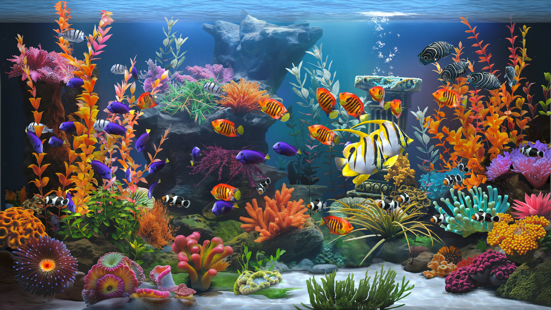 Zen Aquarium PC Steam Ключ • Активация Steam • регион Весь мир