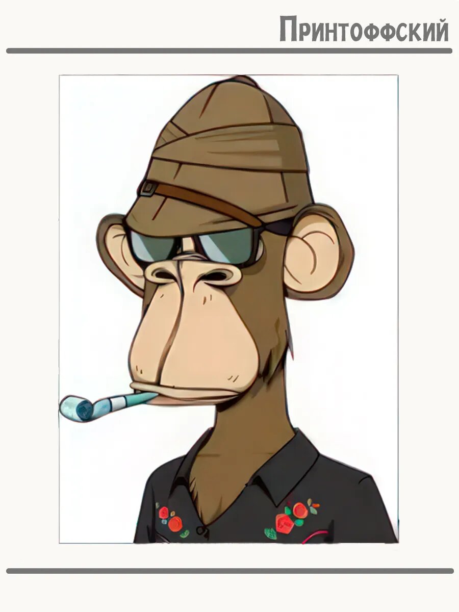 Термонаклейка для одежды и аксессуаров DTF-печать monkey обезьяна прикольные смешные