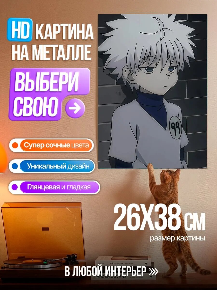 Картина на HD металле Киллуа Золдик