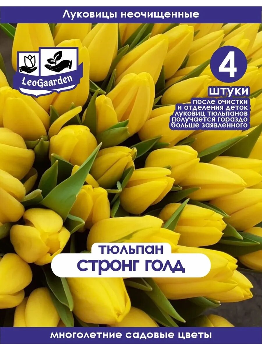 Тюльпан Луковица, Стронг Голд 4+ шт,