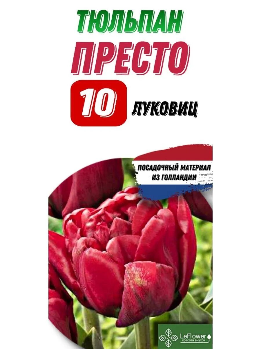 Тюльпан Луковица, Престо, 10шт