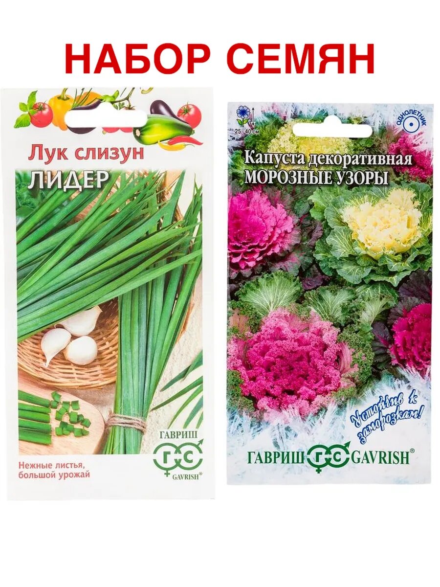 Набор семян Гавриш Лук Лидер 0.5г и капуста Морозные Узоры 0.05г