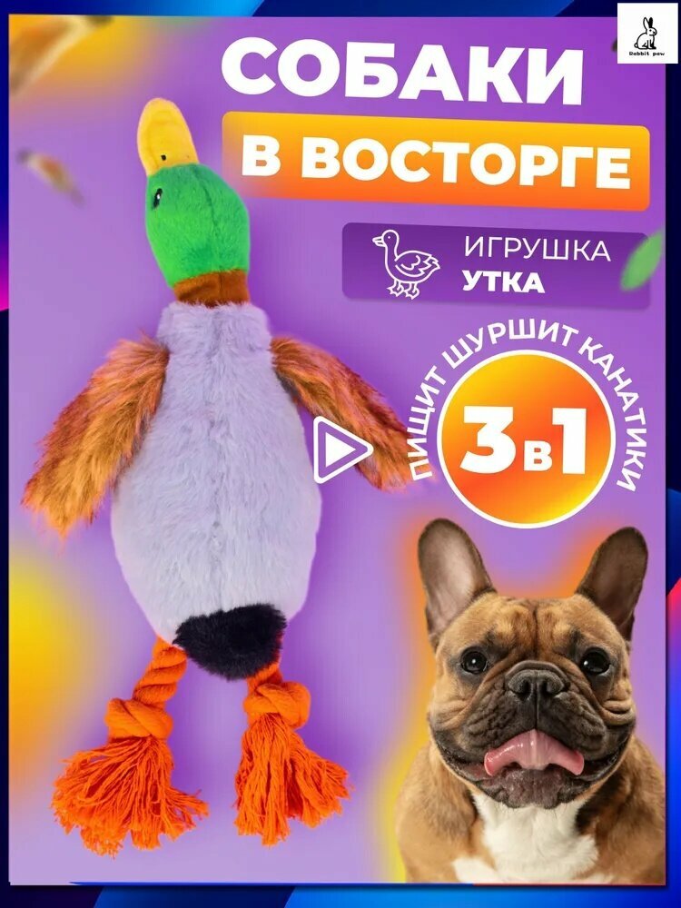 Эксклюзивная зооаксессуар