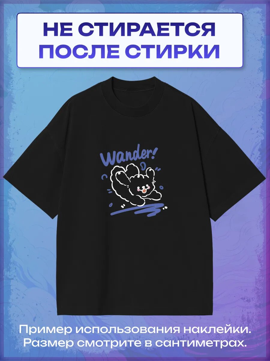 Термонаклейка wander — фото 1