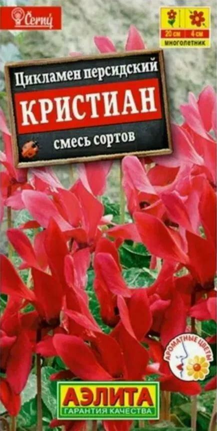 Семена цикламена Аэлита Кристиан смесь, многолетний клубневый, 3 шт