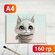 Альбом для рисования Котики