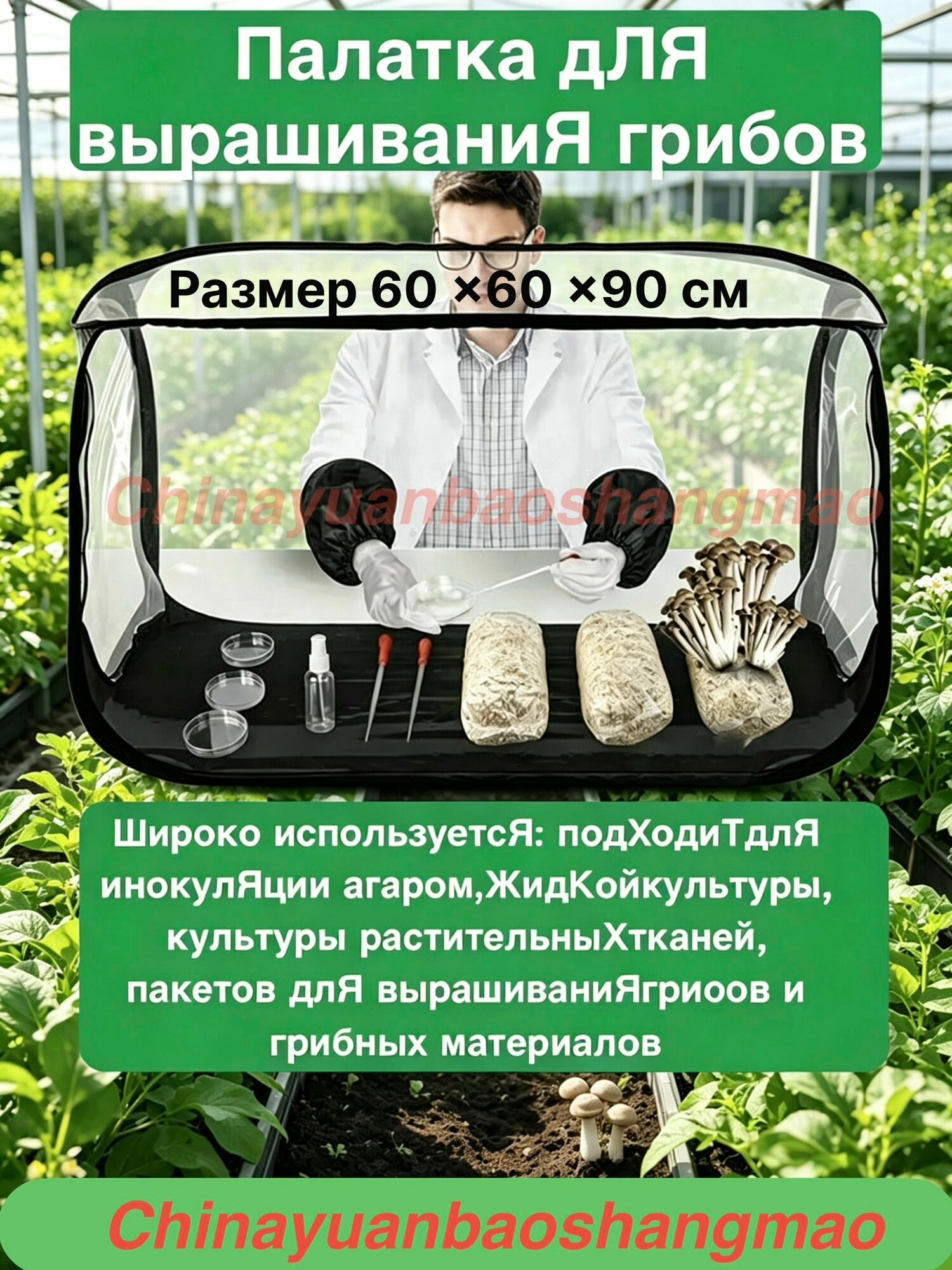 Гроубокс