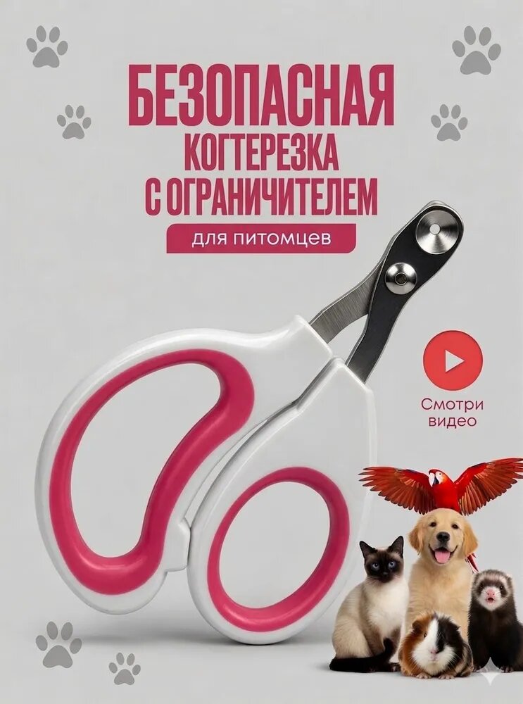 Когтерезка для кошек с ограничителем, ножницы для когтей кошек