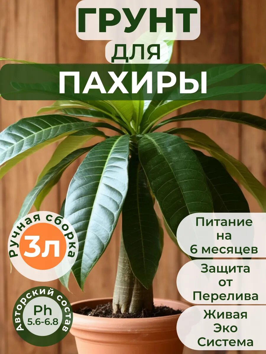 Готовый авторский грунт для Пахиры премиум 3 литра