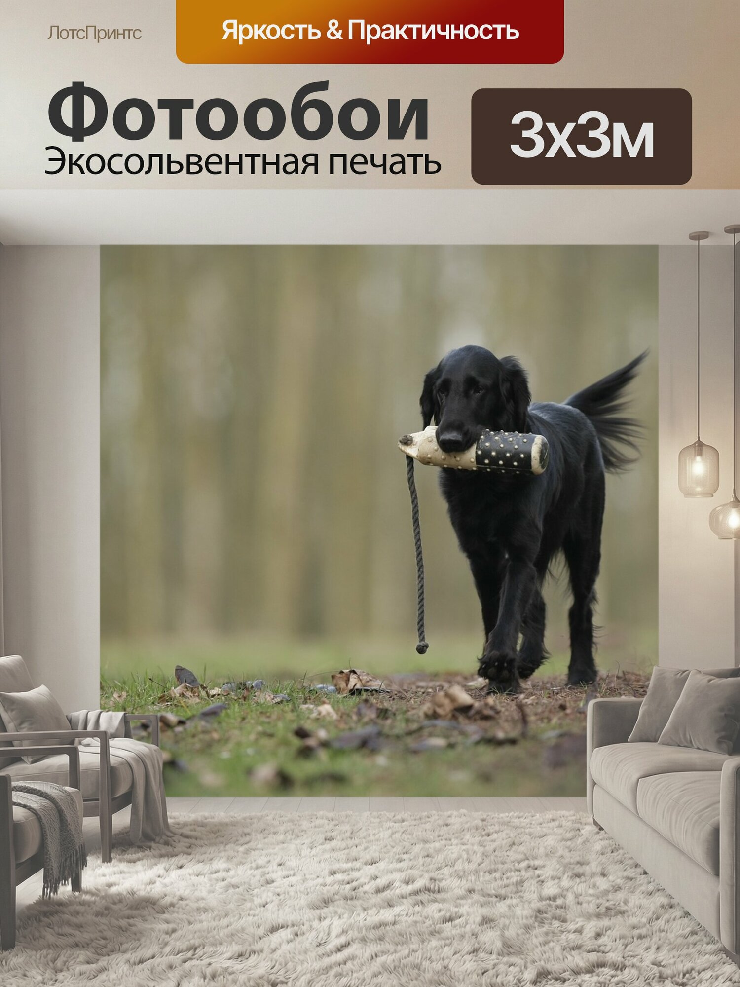 Фотообои "Собака, прямошерстная ретривер, охота" 300x300 см. экосольвентная печать