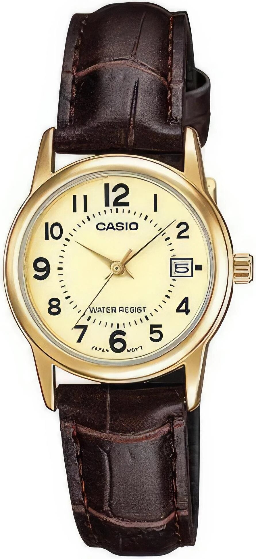  CASIO Collection