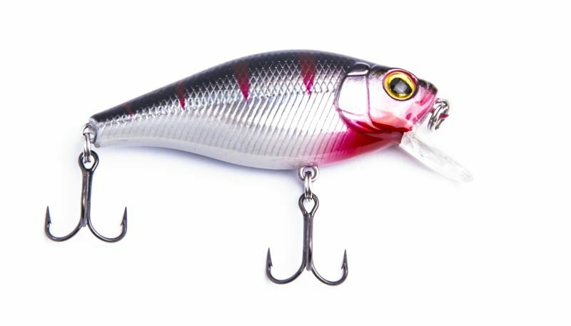 Воблер RUBICON STICK-SHAD F, 60мм, 6.5гр, заглубление 0-0.5m, A09