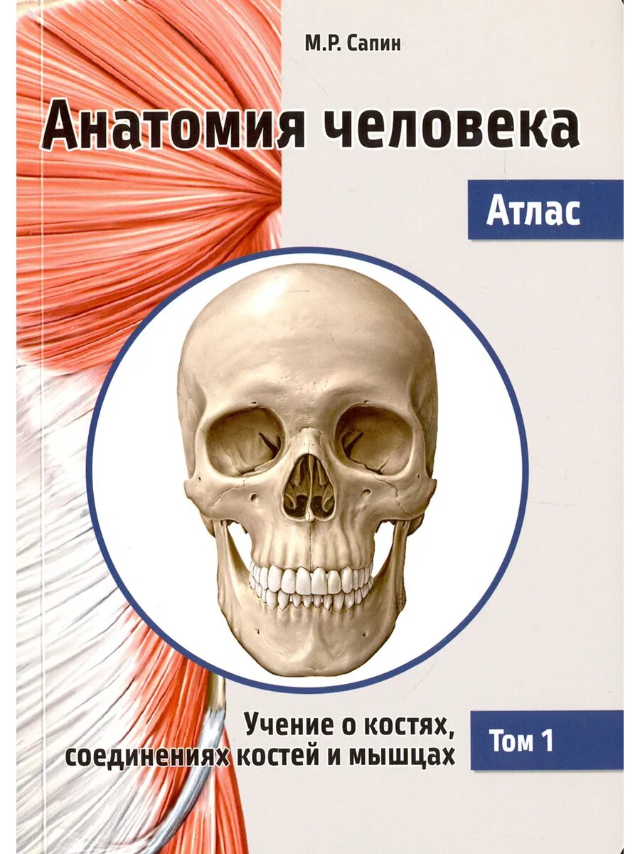 Анатомия человека. Атлас. В 3-х томах. Том 1. Учение о костя