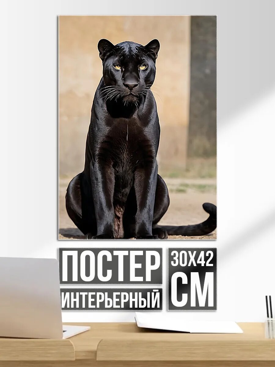 Плакат постер Черная пантера сидит