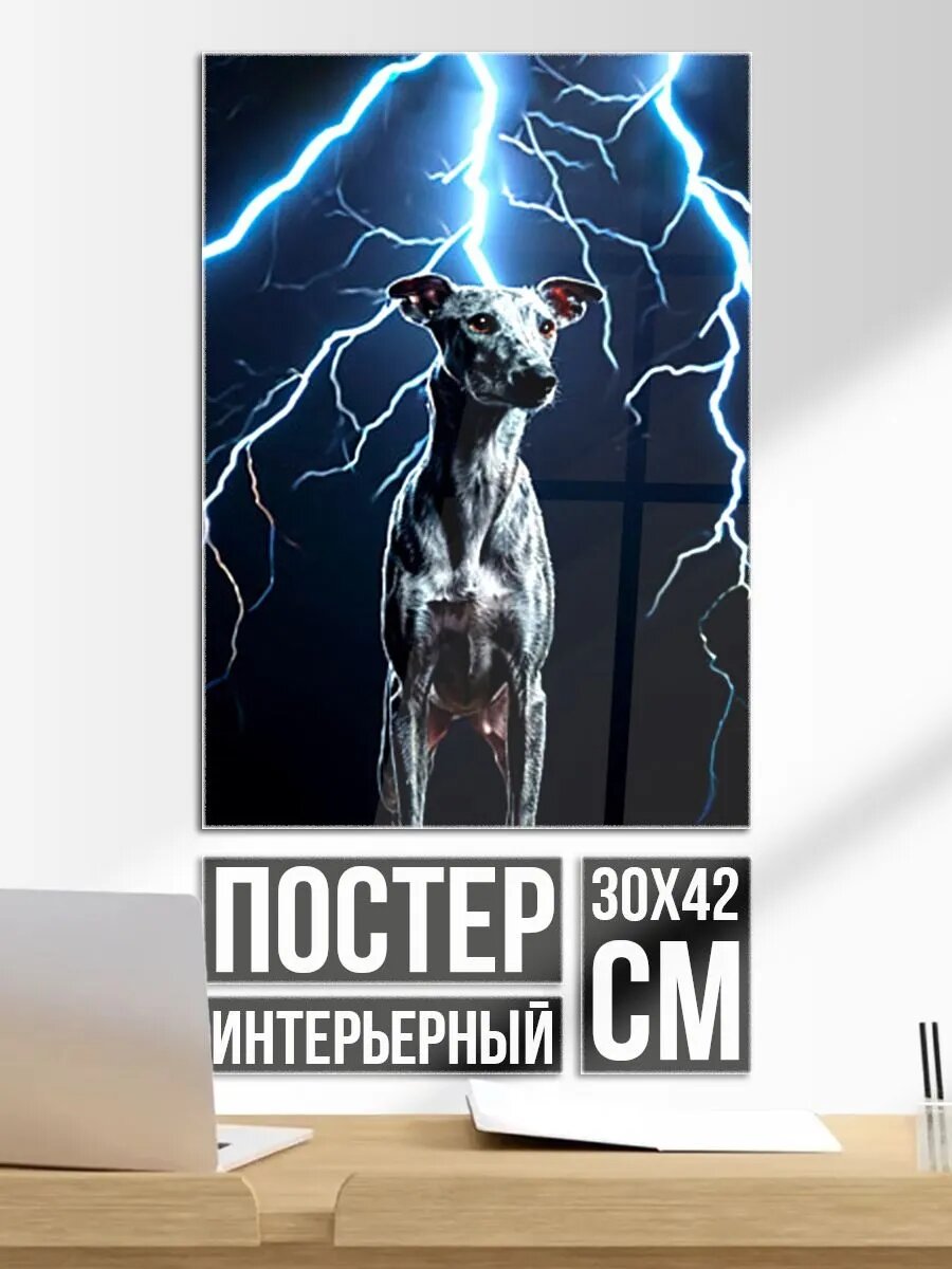 Постер на стену Грейхаунд и молния