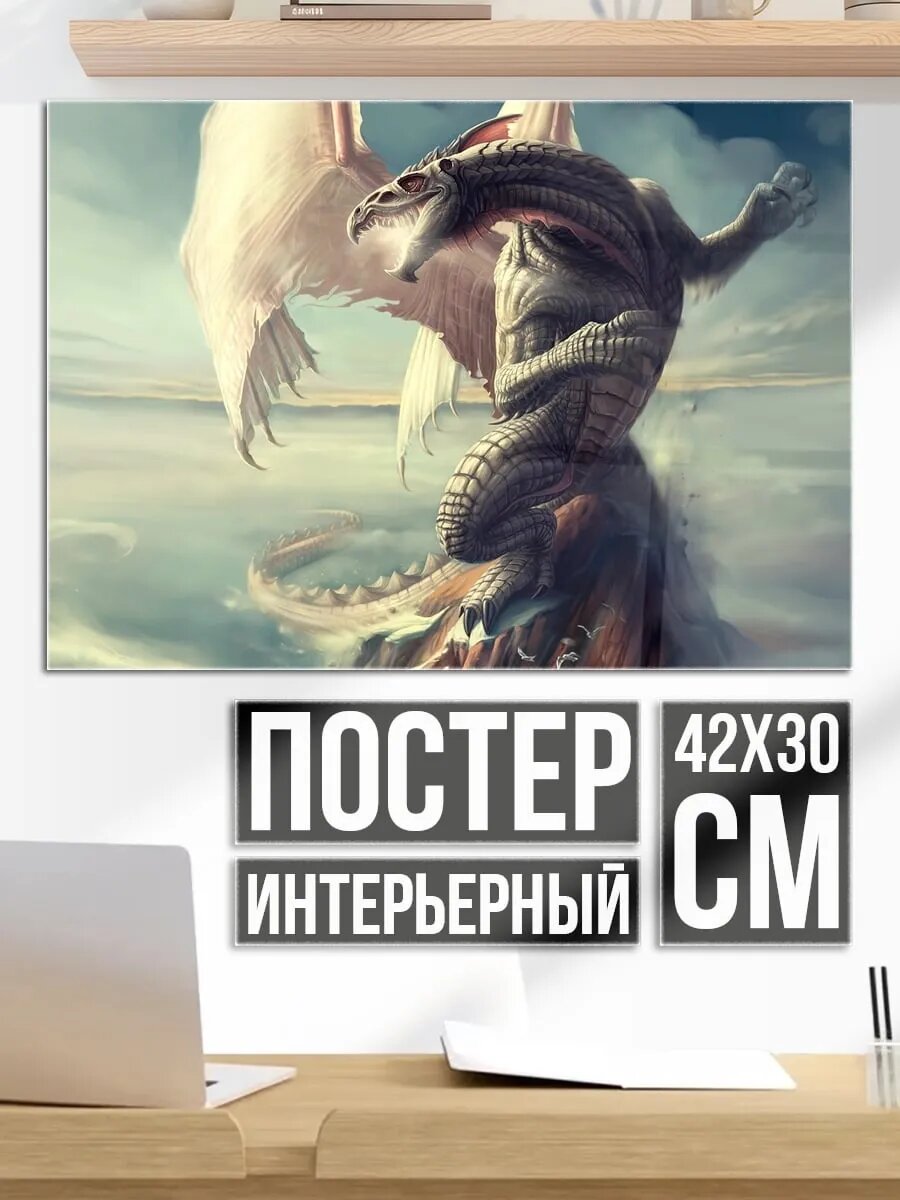 Плакат постер Дракон и феникс