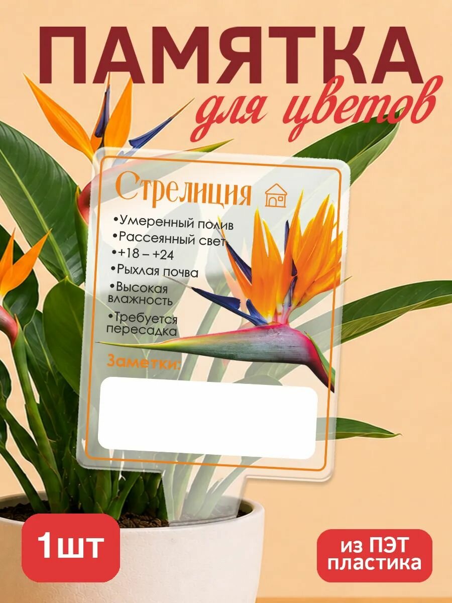 Памятка по уходу за цветами Стрелиция