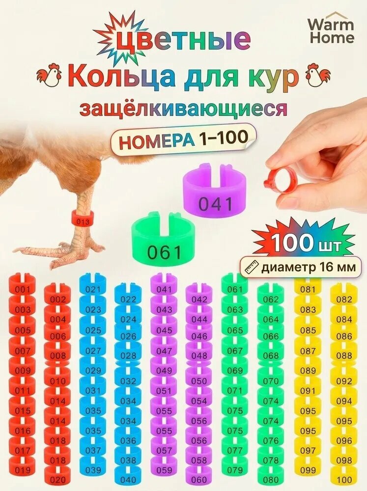 Кольца для кур, 100 шт, 16 мм, цветные, ABS
