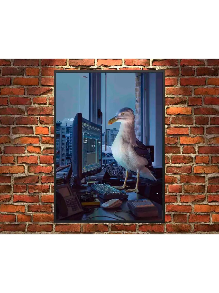Программист для птиц-чаек 4, Плакат 30x42см