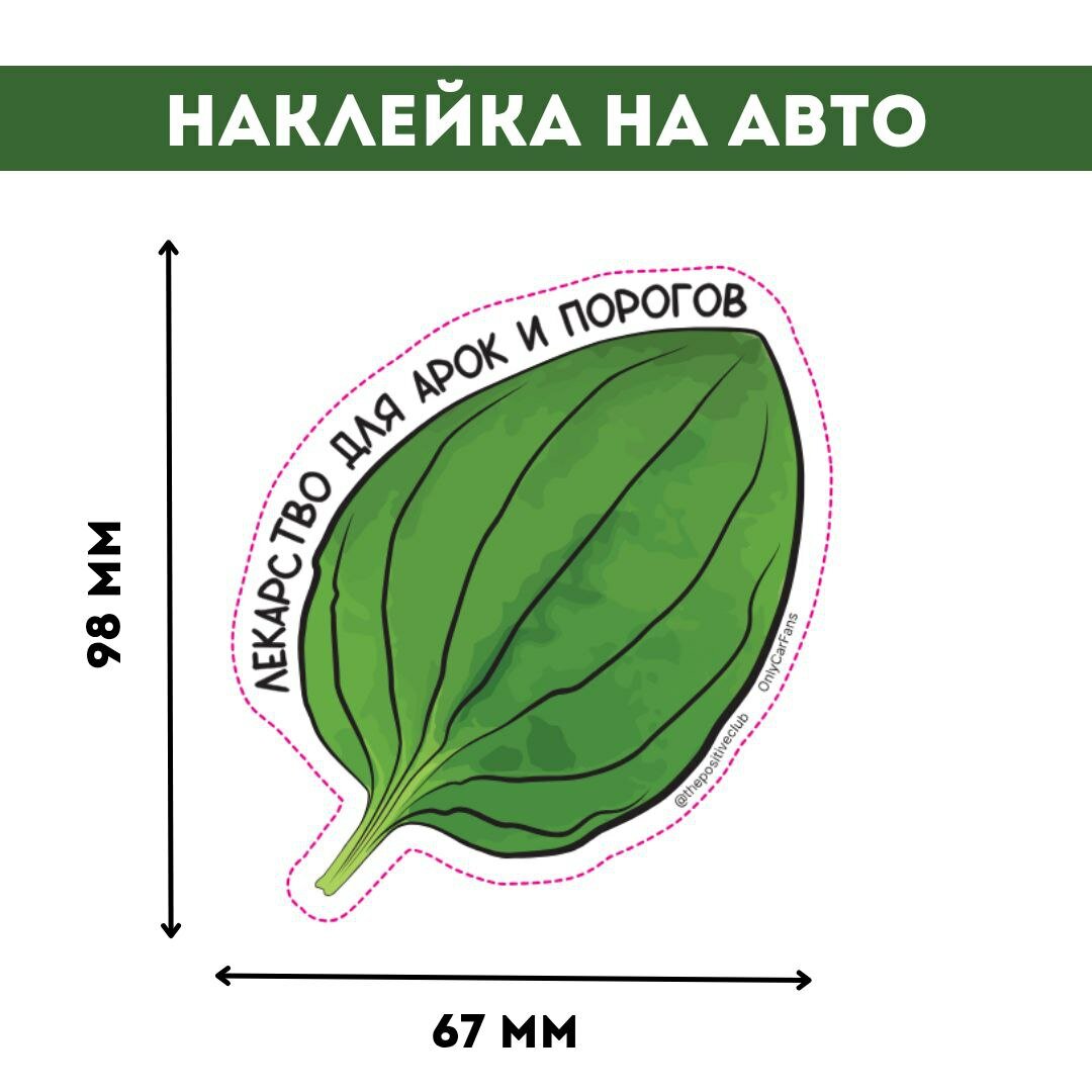 Виниловая наклейка "Подорожник", самоклеящаяся, для авто, 10x7 см