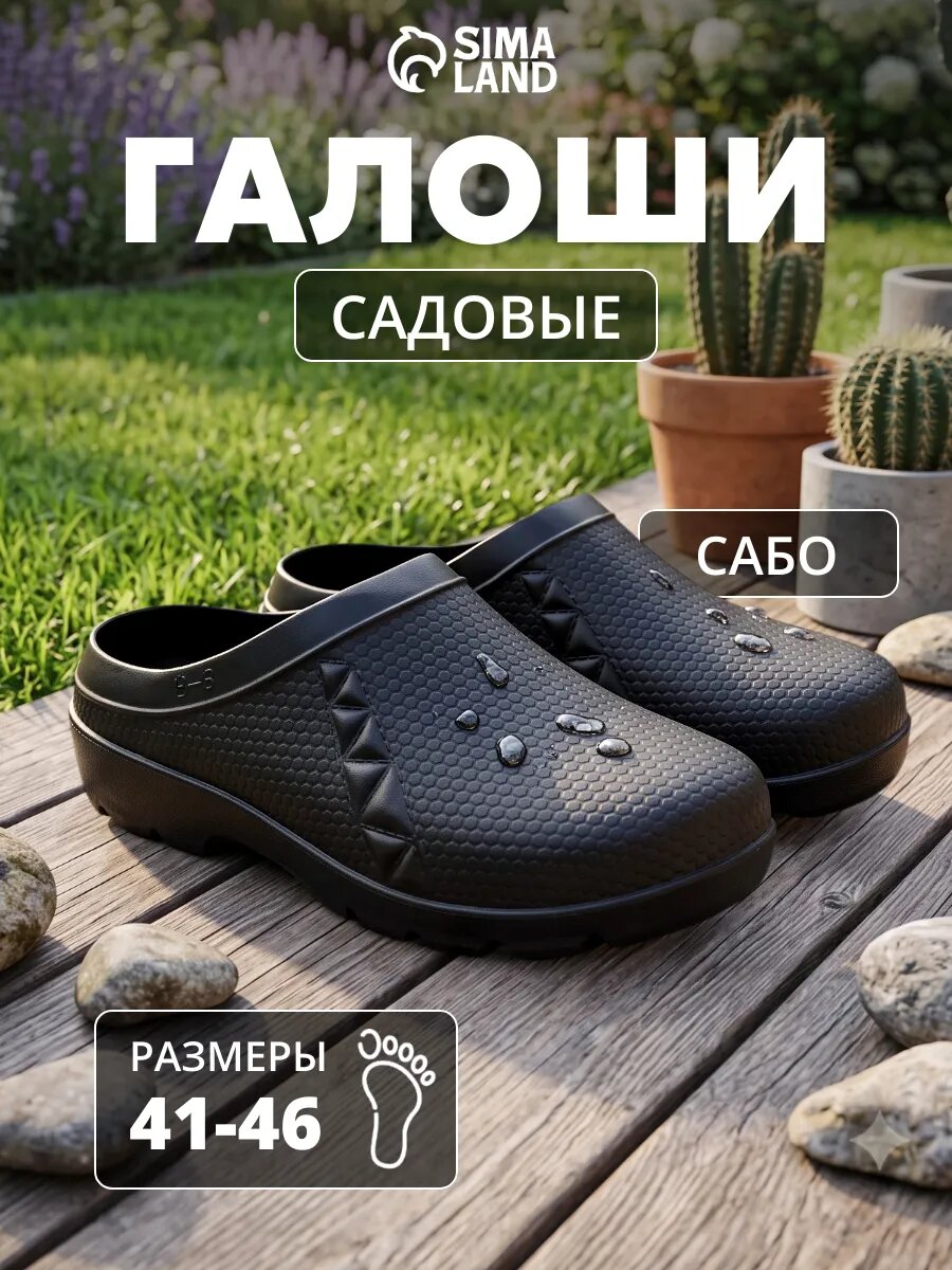 Сабо Light Company Light Company