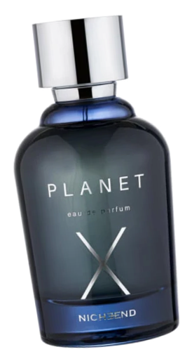 Парфюмерная вода унисекс Nicheend Planet X 100 мл - Ничинд Планета Икс