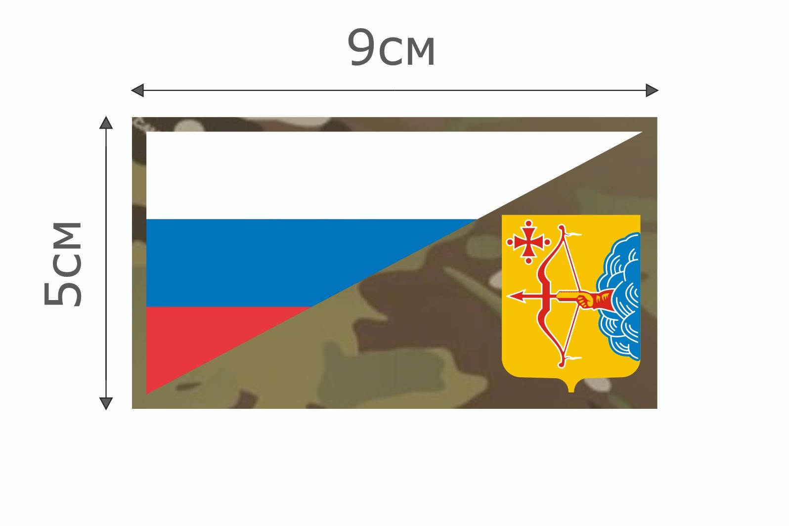 Ф043MC Нашивка , патч (шеврон) MC Флаг РФ Кировская область 5*9 см