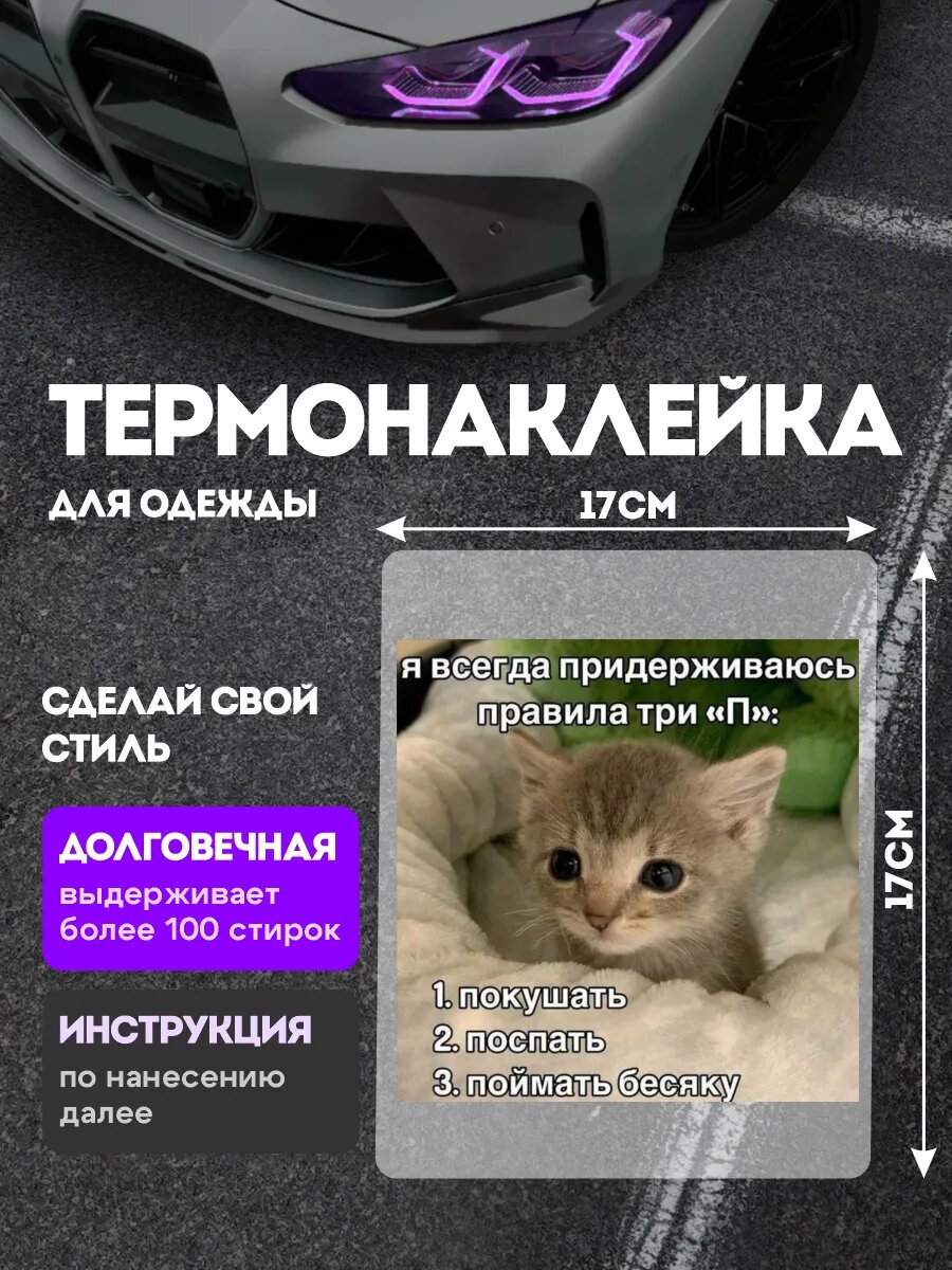 Термонаклейка на одежду котик прикол