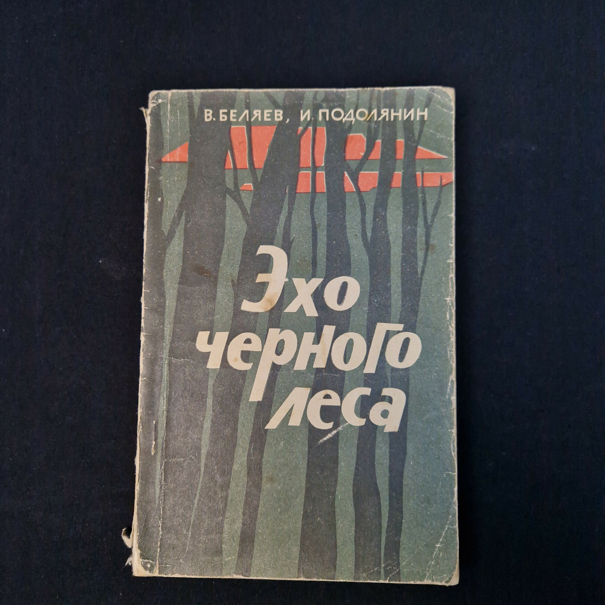 Владимир Беляев. Эхо черного леса. Книга СССР, историческая литература