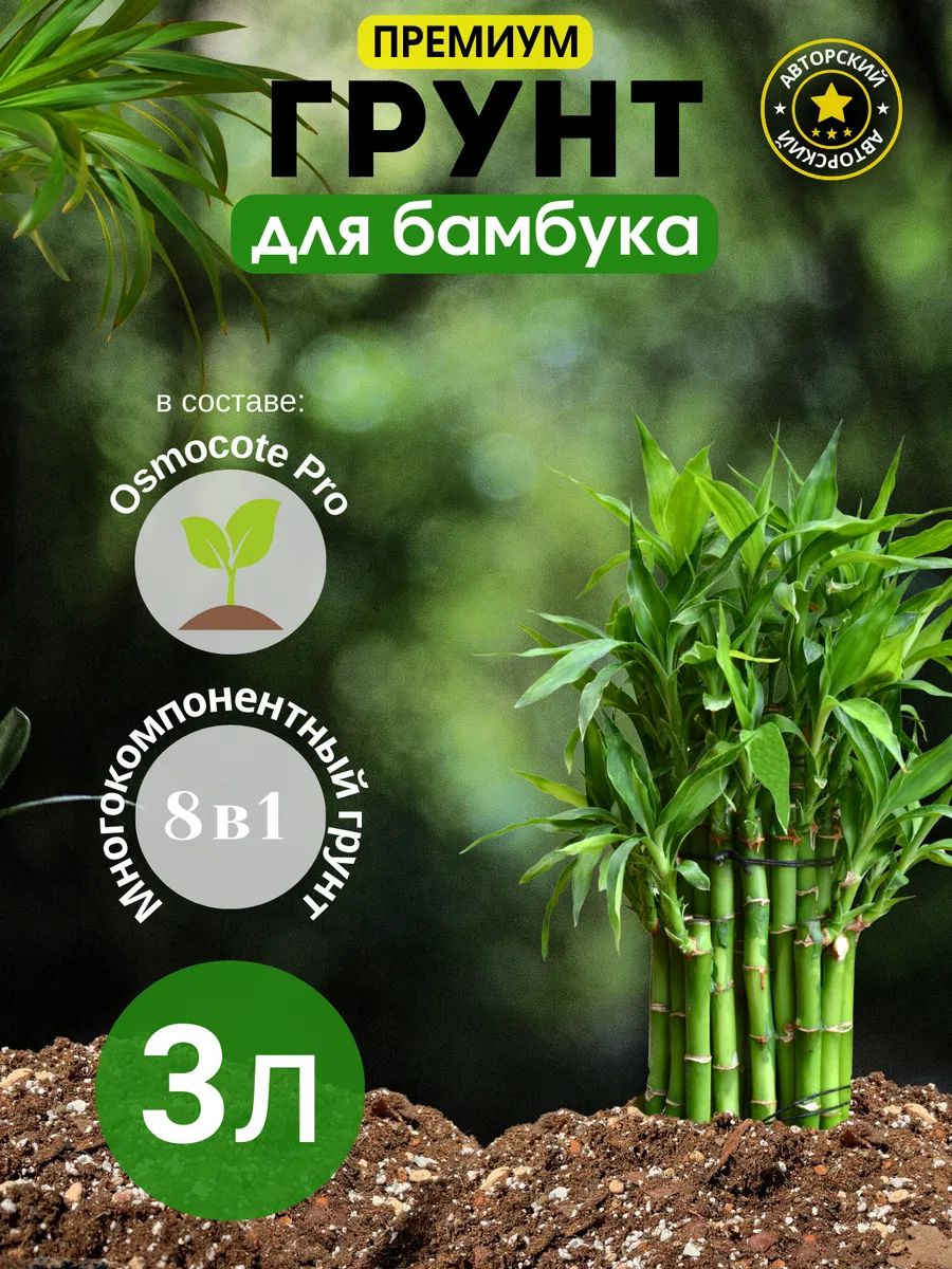 Грунт для Бамбука 3л готовый премиум