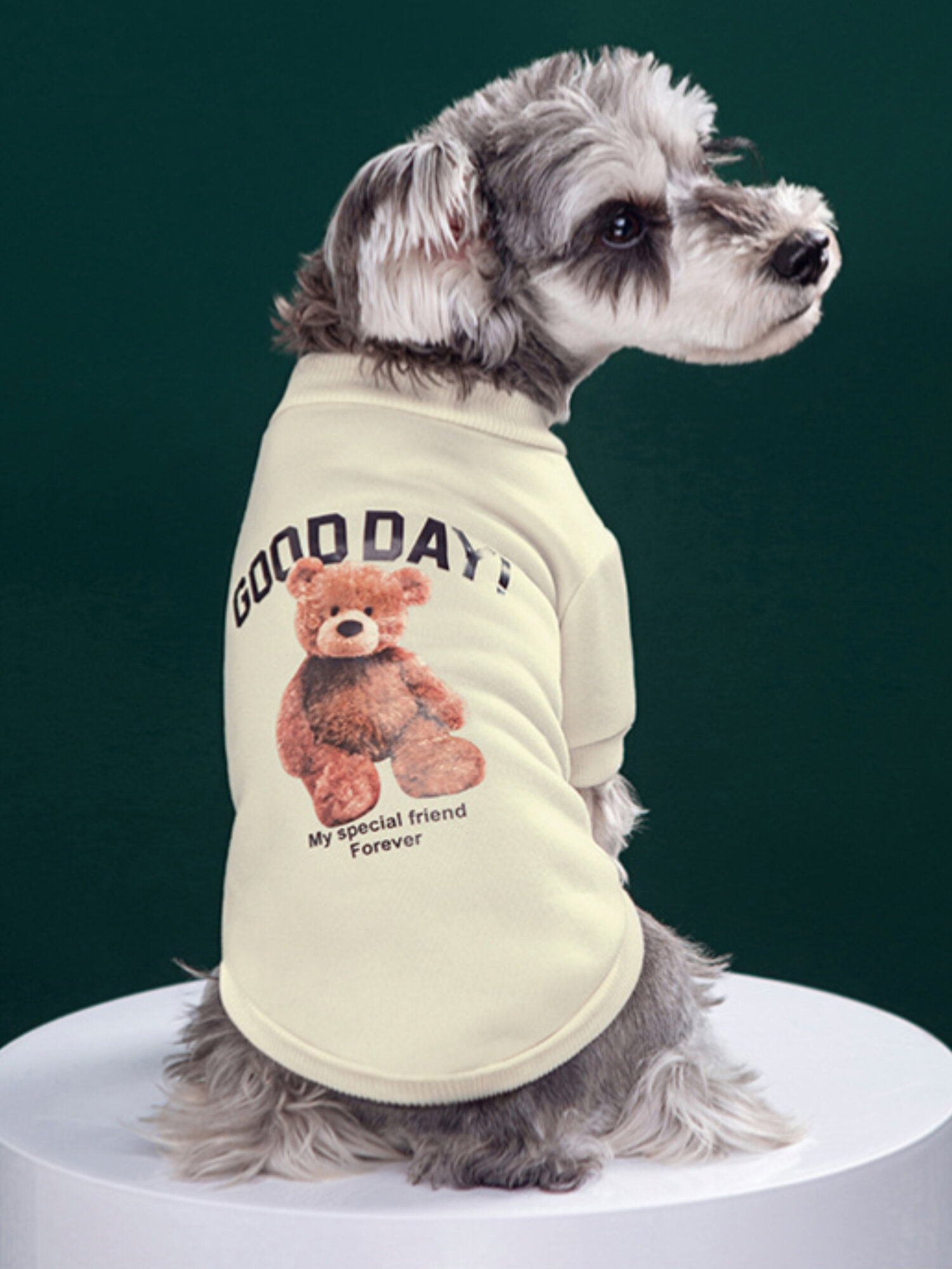 Кофта свитшот толстовка для собак и кошек good day, размер M, цвет бежевый