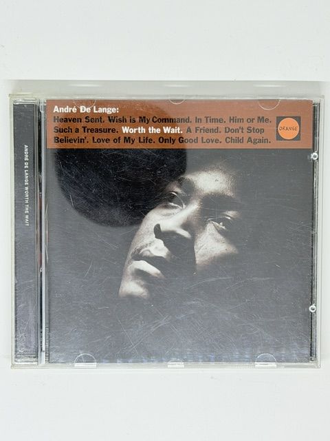 Музыкальный диск Andre De Lange-Worth The Wait (CD, EUROPE) '96 MINT