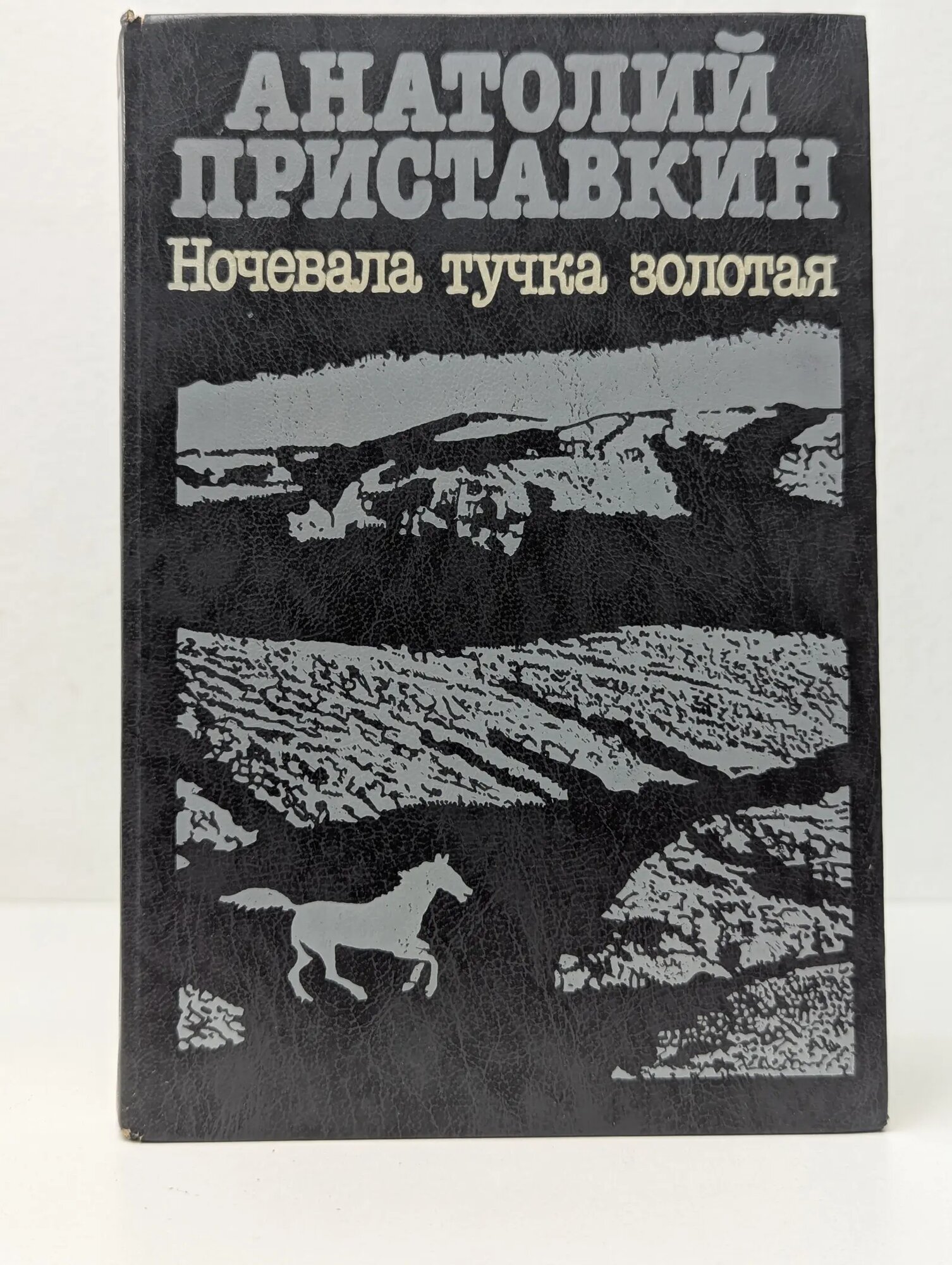 Популярная библиотека. Ночевала тучка золотая Приставкин Анатолий Игнатьевич 1989