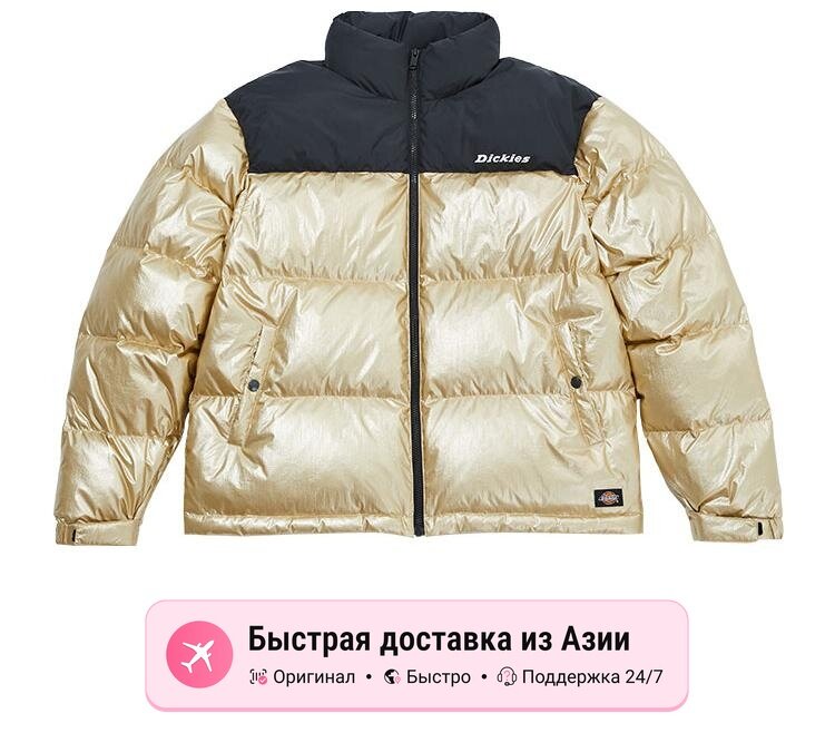 Пуховик Dickies Dickies DK009919A20