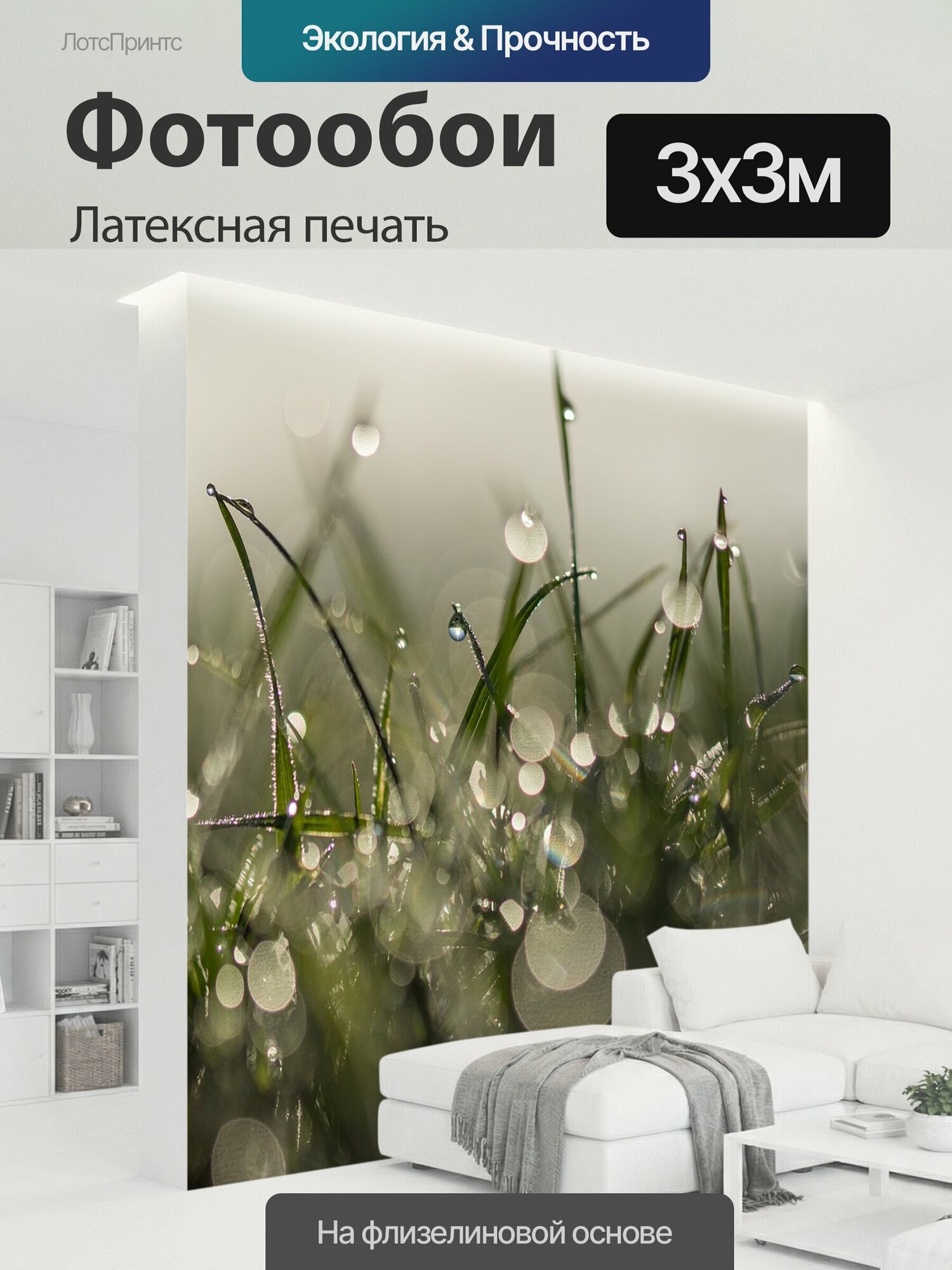 Фотообои моющиеся ударопрочные "Трава, луг, капли росы" 300x300 см. латексная печать