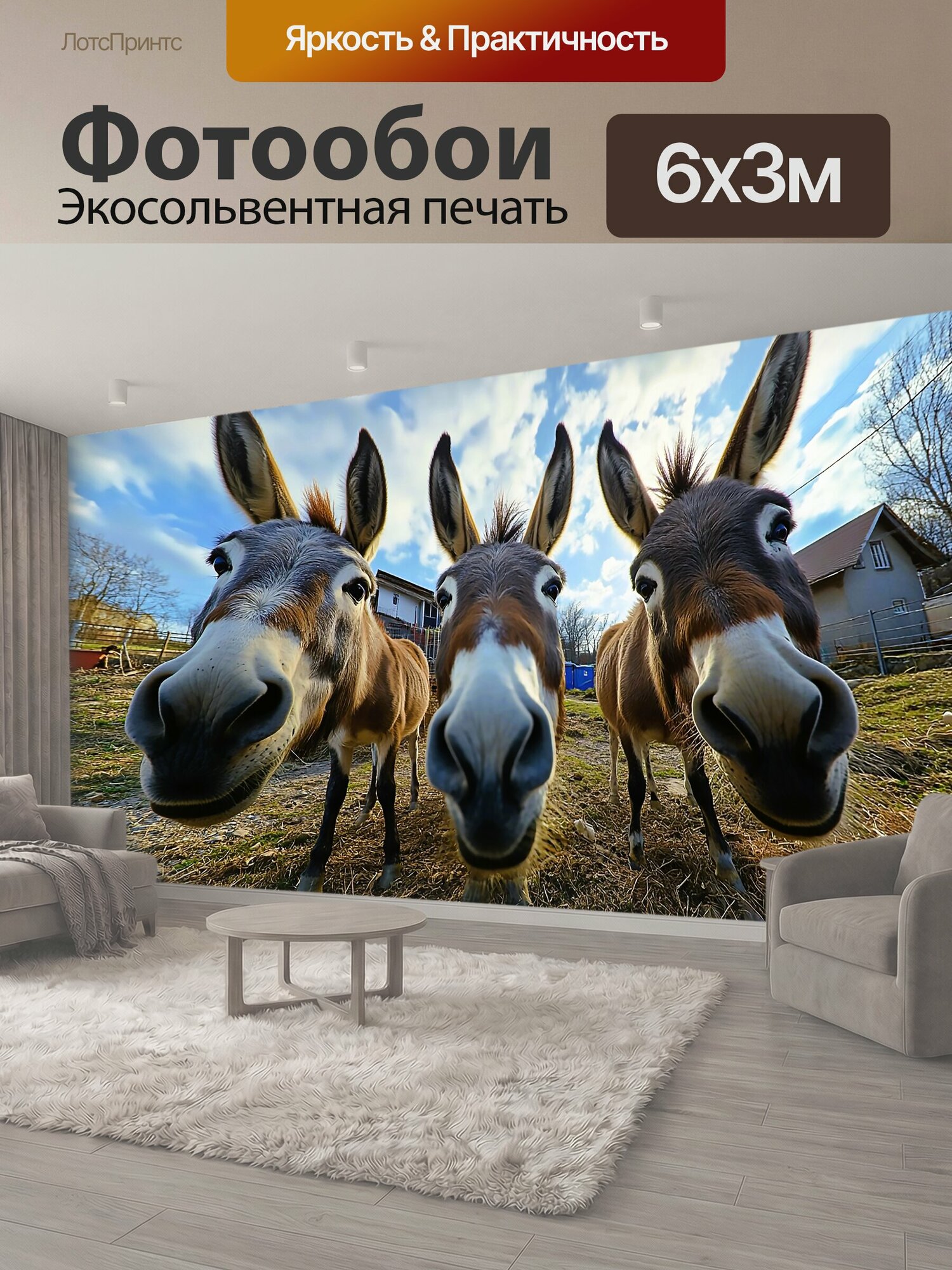 Фотообои "Три осла смотрят в камеру Постер с юмором Современный арт" 600x300 см. экосольвентная печать