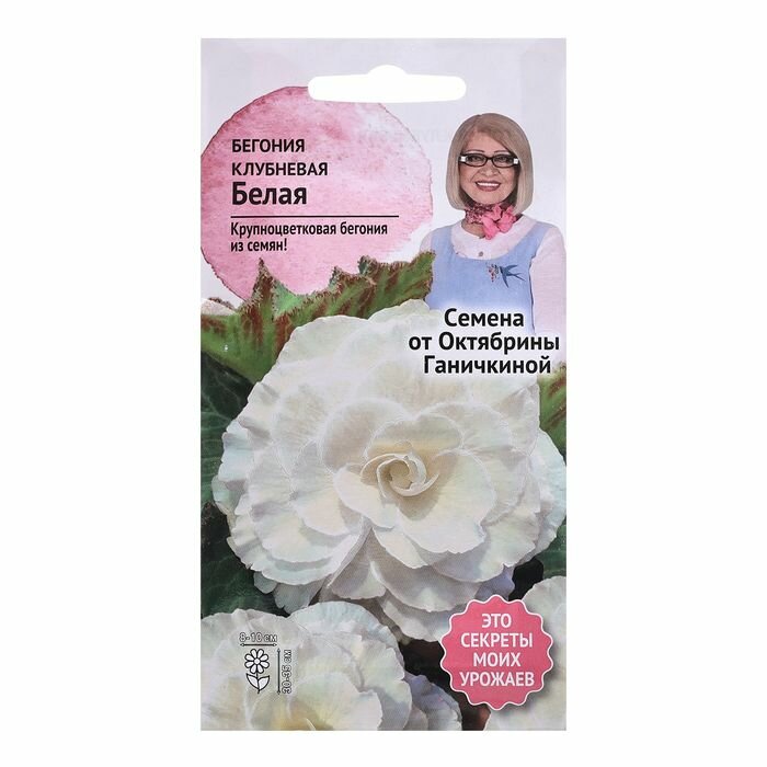 Семена цветов Бегония клубневая "Белая", 6 шт