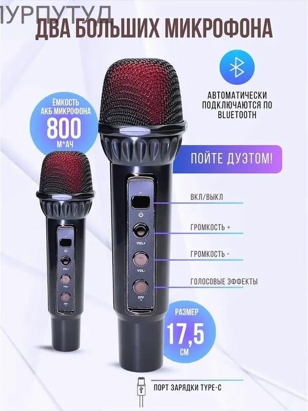Караоке-система — фото 1