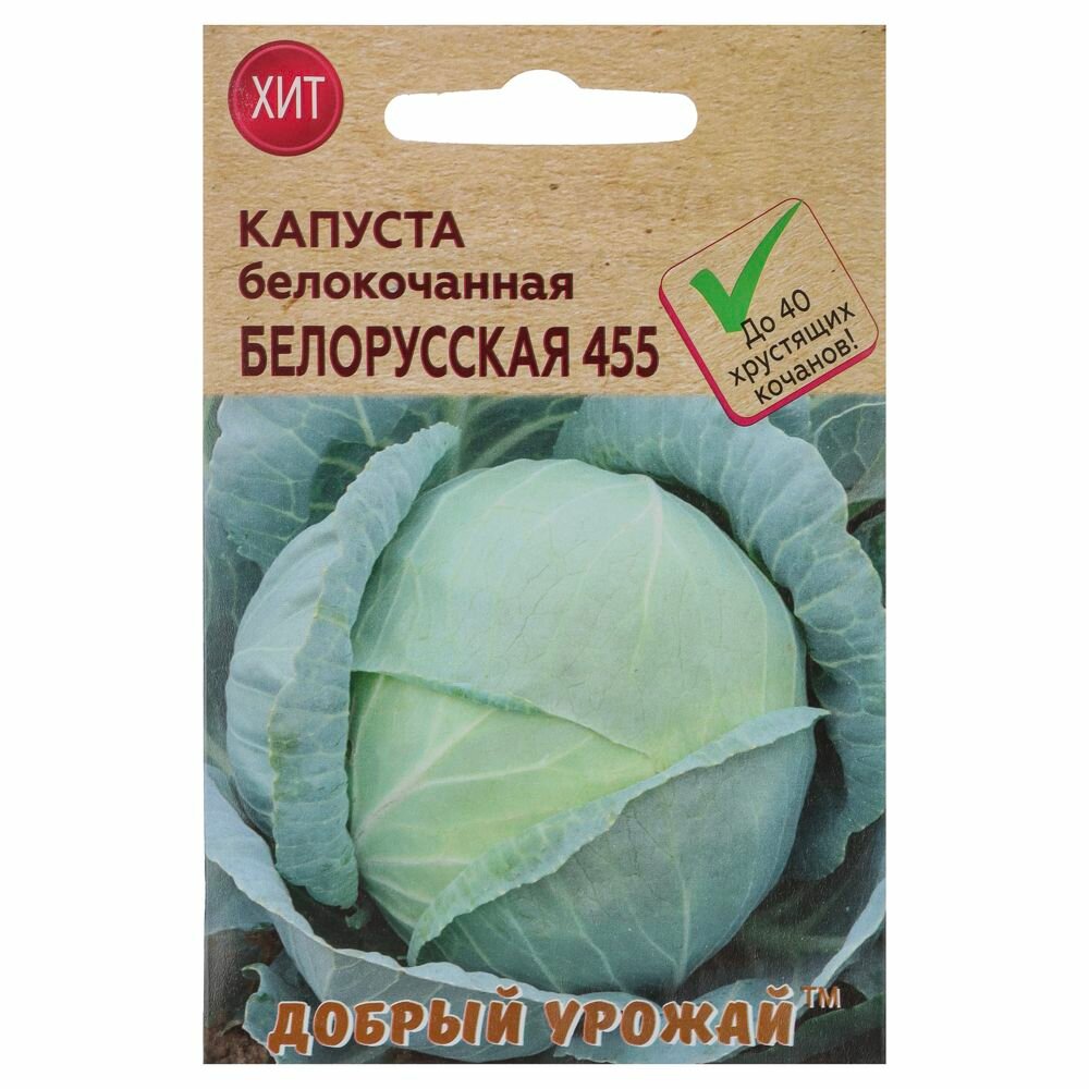 Капуста Белорусская 455 Белокочанная