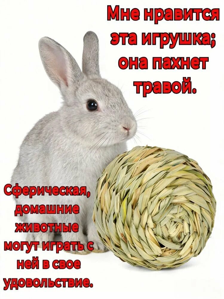 Жевательная игрушка для кролика, соломенный мяч, плетеная жевательная игрушка, игрушка для жевания для развлечения