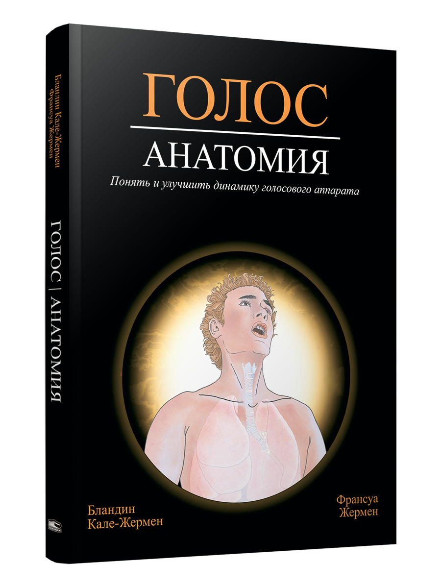 Голос: анатомия