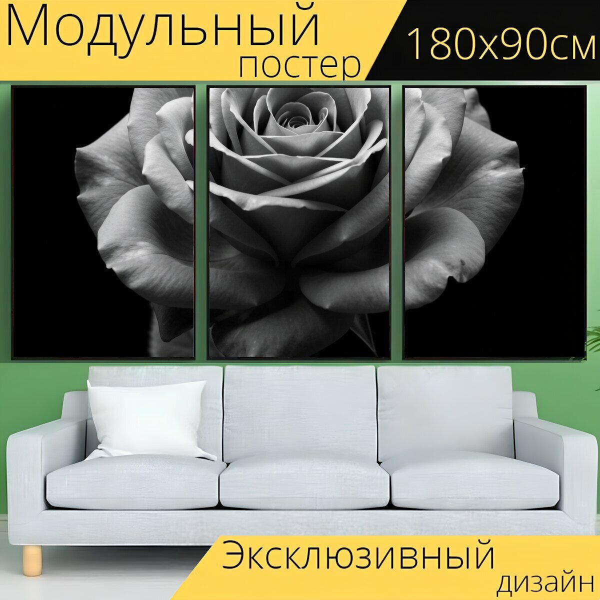Модульный постер "Белая роза на черном фоне. Монохромный крупный цветок с бархатистыми лепестками и тонким стеблем, изящная композиция." 180 x 90 см. для интерьера на стену в тубусе