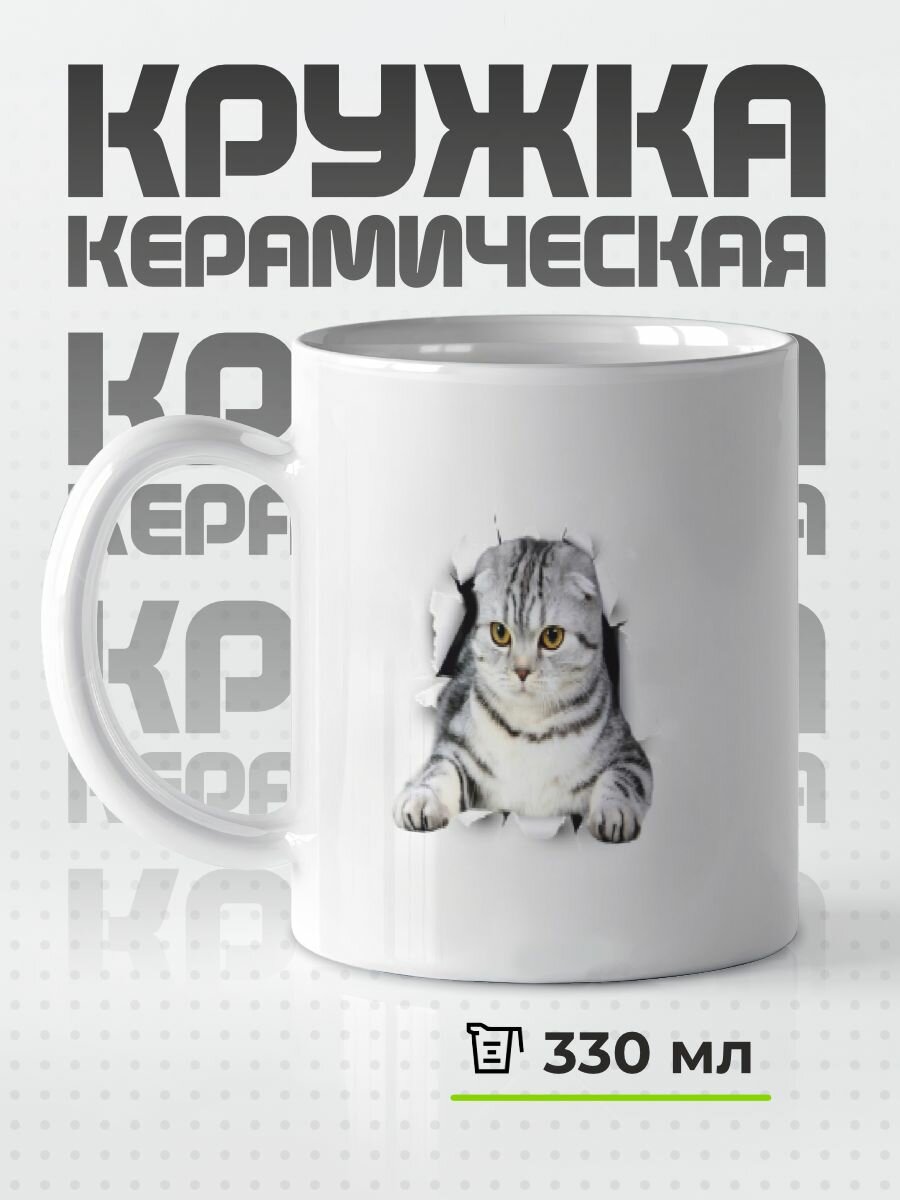 Кружка с приколом Котик мем