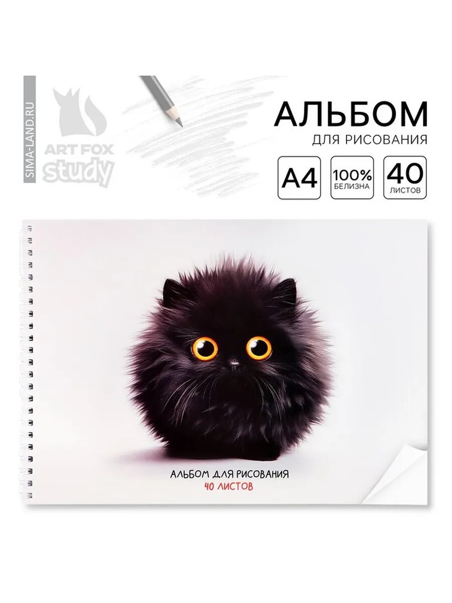 Альбом для рисования 40 листов А4 «Черный пушистик»