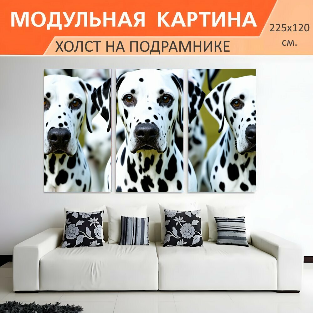 Модульная картина на холсте "Далматинцы, крупный план, белые собаки с черными пятнами, группа животных, плотное расположение." триптих на подрамнике 225х120 см. для интерьера